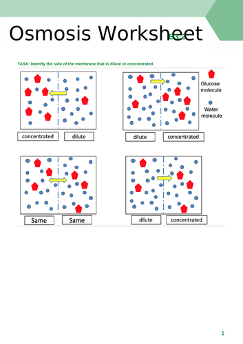 Osmosis | Teaching Resources