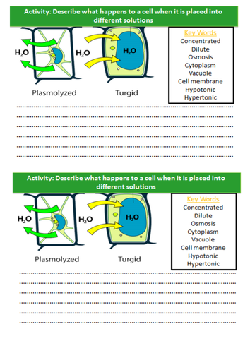Osmosis | Teaching Resources