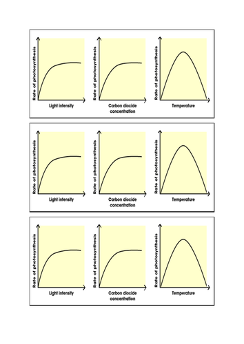 AQA B2 Photosynthesis - 10 lessons with resources | Teaching Resources