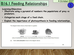 KS4 B16.1 Feeding Relationships | Teaching Resources