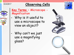 Microscopes - Observing Cells KS3 | Teaching Resources