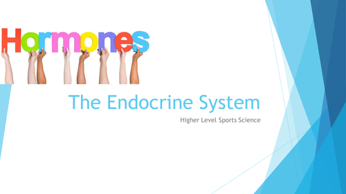The Endocrine System Powerpoint | Teaching Resources
