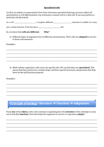 Cells AQA bundle | Teaching Resources