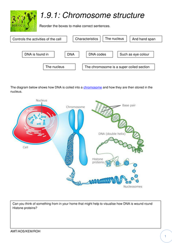 Cells AQA bundle | Teaching Resources