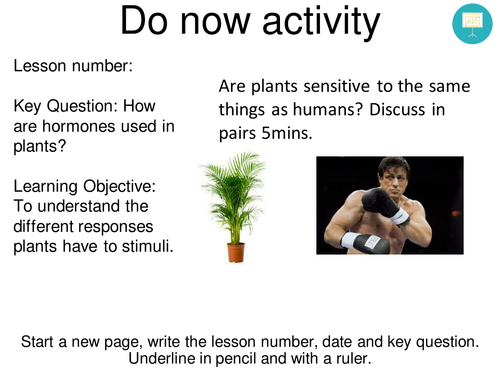 Lesson on Plant Hormones (New GCSE AQA) | Teaching Resources