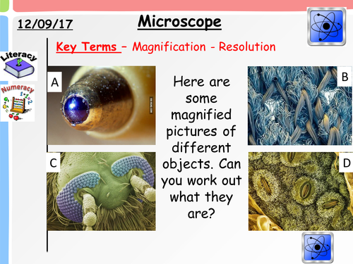 Microscopes 2016 GCSE | Teaching Resources