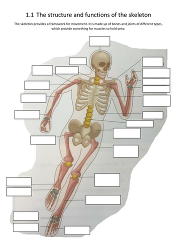 2016 New Spec Aqa Gcse Pe Full Course Resource Teaching Resources