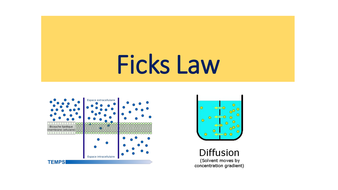 NEW 9-1 EDEXCEL BIOLOGY TOPIC SB8 Exchange and Transport in Animals ...