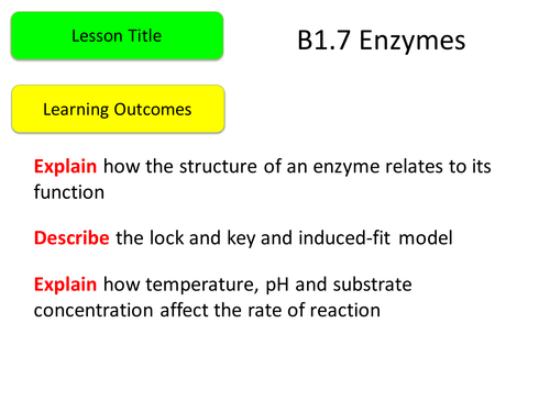 AQA AS Biology Enzymes | Teaching Resources