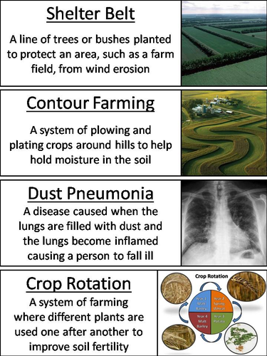 Dust Bowl Word Wall Cards | Teaching Resources