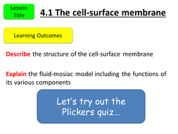 AQA AS Biology Cell Surface Membrane | Teaching Resources