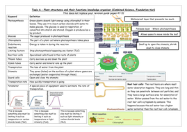 Edexcel 9-1 GCSE Biology Topic 6 Plants knowledge organiser Combined FT ...
