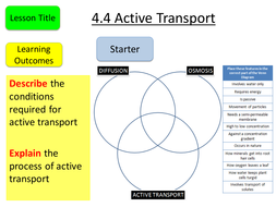 AQA AS Biology Active Transport | Teaching Resources