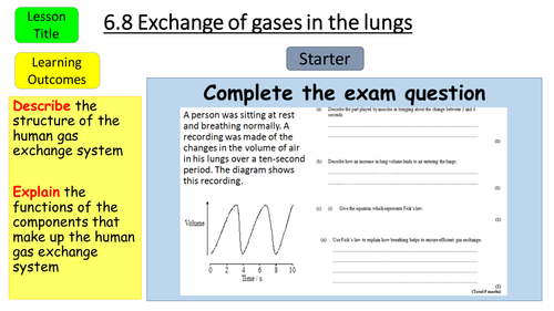 AQA AS Biology Gas Exchange at Alveoli | Teaching Resources