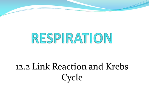 AQA A2 Biology Link Reaction and Krebs Cycle | Teaching Resources
