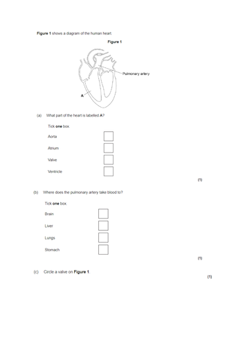 The heart and blood vessels (revision) - complete lesson (GCSE 1-9 ...