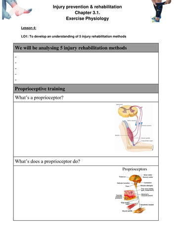 A-Level PE. Injury Prevention & Rehabilitation (Chapter 3.1) | Teaching ...