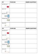 Specialised Cells | Teaching Resources