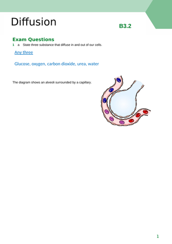 Diffusion | Teaching Resources