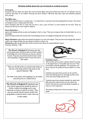 NEW AQA RELIGIOUS STUDIES GCSE 2016: THEME B ANIMALS X2 | Teaching ...