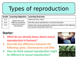 NEW AQA GCSE Trilogy (2016) Biology - Types of reproduction | Teaching ...