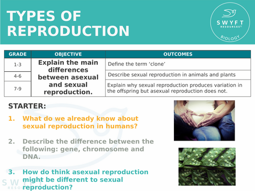 NEW AQA GCSE Biology - 'Inheritance, Variation & Evolution' lessons ...
