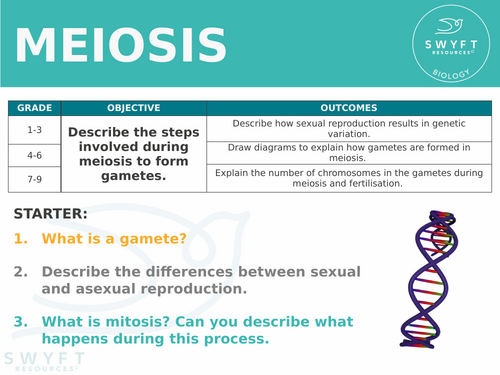 NEW AQA GCSE Trilogy (2016) Biology - Meiosis | Teaching Resources