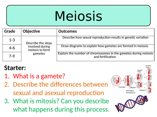 NEW AQA GCSE Biology - 'Inheritance, Variation & Evolution' lessons ... NEW AQA GCSE Biology - 'Inheritance, Variation & Evolution' lessons ...