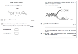 A-level exam questions | Teaching Resources
