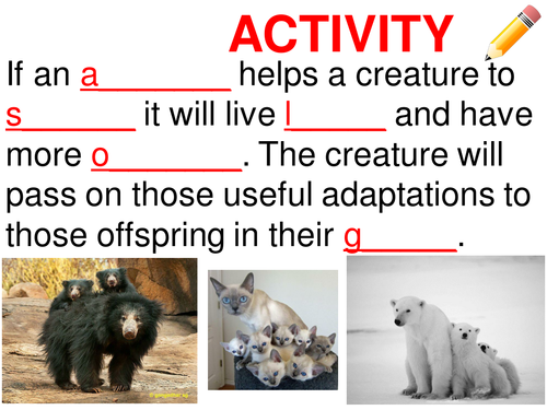 Adaptation, variation, environmental & inherited variation, effects of ...