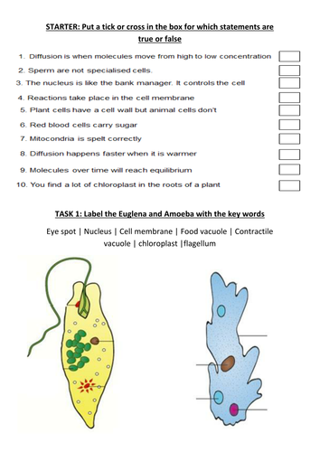 Organisms (AQA KS3 Activate 1) | Teaching Resources
