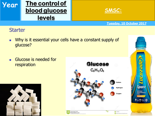 Control of blood glucose | Teaching Resources