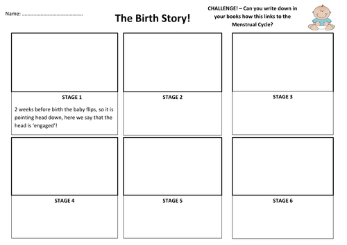 The Stages of Birth! A KS3 Science Lesson | Teaching Resources