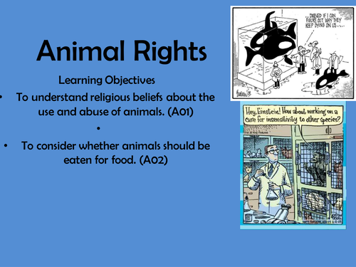 2 Lessons- Animal Rights and Animal Experiments | Teaching Resources