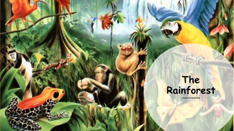 Year 4 Literacy Unit Plan The Rainforest/Stories from Other Cultures ...