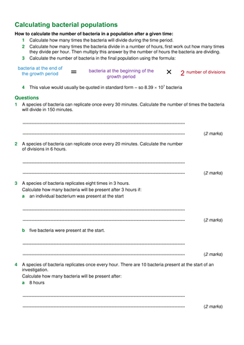 New 9-1 GCSE Biology B5 Growing Bacteria | Teaching Resources