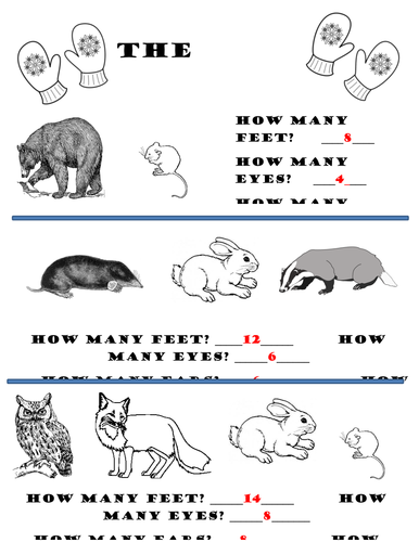 Differentiated Adding using The Mitten by Jan Brett | Teaching Resources