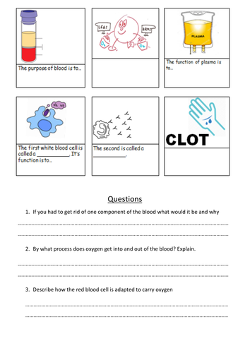 The Blood | Teaching Resources