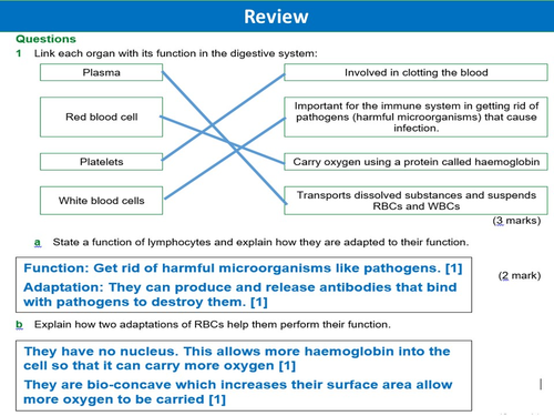 The Blood | Teaching Resources
