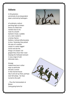 Vultures- Poetry- Culture and Identity | Teaching Resources