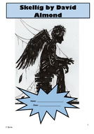 Skellig by David Almond Workbook | Teaching Resources