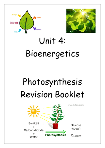 Unit 4: Bio-energetics (Photosynthesis) Revision Booklet | Teaching ...