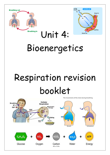 Unit 4: Bio-energetics (Respiration) revision booklet | Teaching Resources