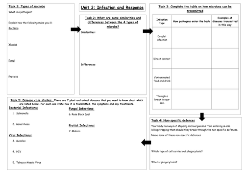 Unit 3: Infection and Response (Combined and Biology) Revision resource ...