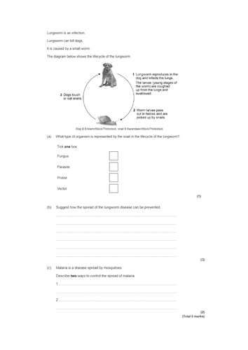 Diseases caused by fungi and protists - complete lesson (GCSE 1-9 ...