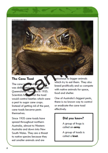 Frogs: Awesome Amphibians - For Ages: 8+ Years | Teaching Resources