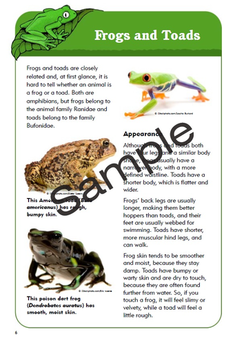 Frogs: Awesome Amphibians - For Ages: 8+ Years | Teaching Resources