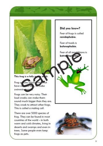 Frogs: Awesome Amphibians - For Ages: 8+ Years | Teaching Resources