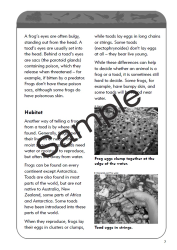 Frogs: Awesome Amphibians - For Ages: 8+ Years | Teaching Resources