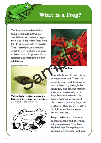 Frogs: Awesome Amphibians - For Ages: 8+ Years | Teaching Resources